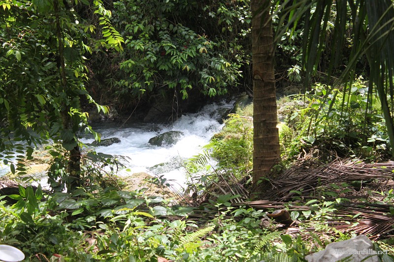 The Sebastien Hotel, Mactan, Philippines Big Discounts and Cheap Rates ...